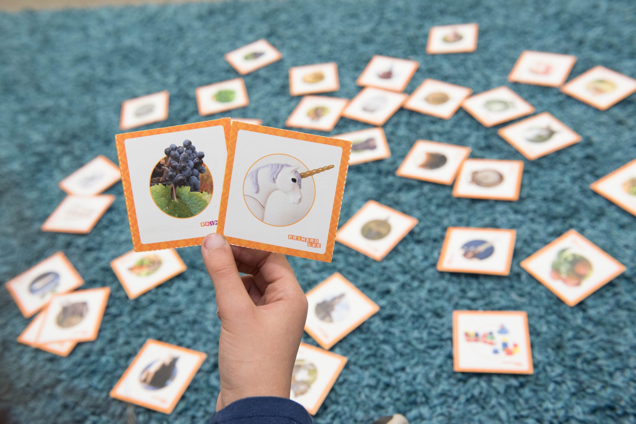 Tarjetas de conciencia fonológica - Catálogo Fundación Crecer con Todos