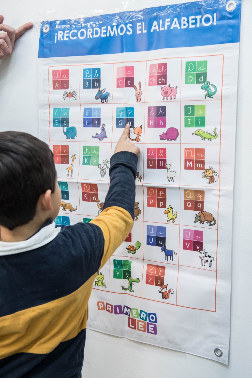 Panel abecedario de pared - Catálogo Fundación Crecer con Todos